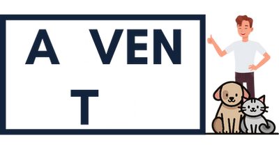 Arvento™ | Le Meilleur Pour Vous