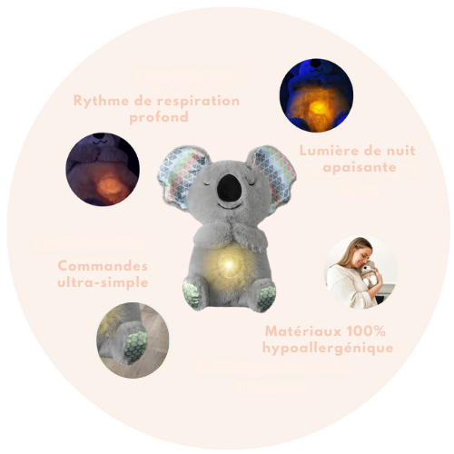 LE KOALA ZEN - L'ami apaisant – Arvento