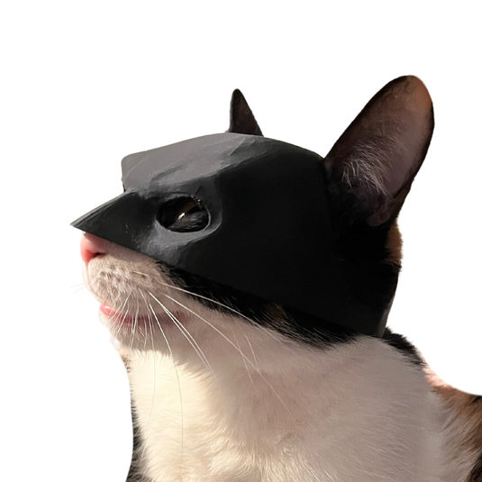 HEROCHAT™ - Masque élégant pour chats aventuriers. – Arvento